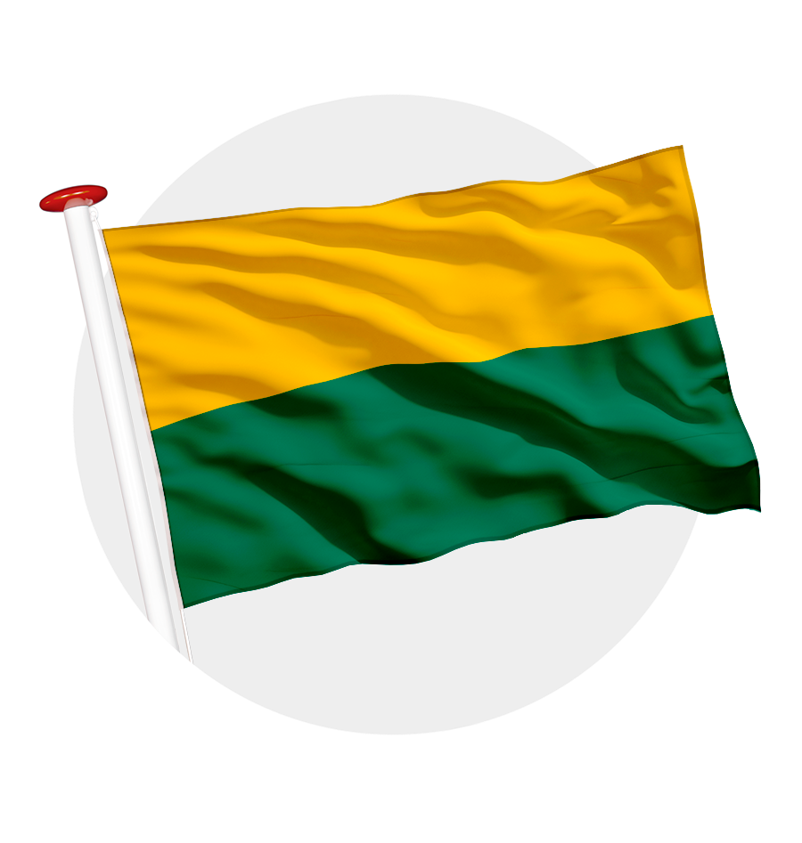 Vlag Den Haag kopen? Bestel de vlag van 's-Gravenhage hier!