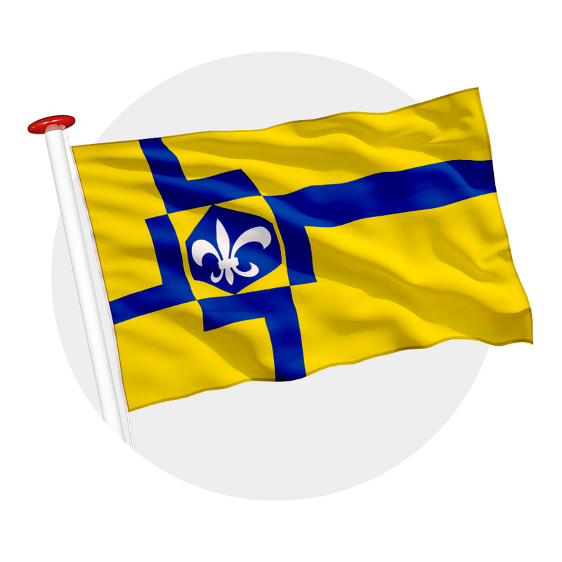 Vlag Lelystad - Vlaggenmasten.nl