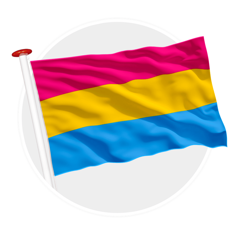Pansexual vlag kopen? | Pan Pride vlag
